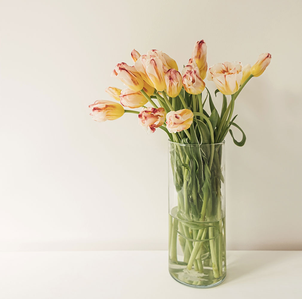 Example Product 1 – Jessica Reigner